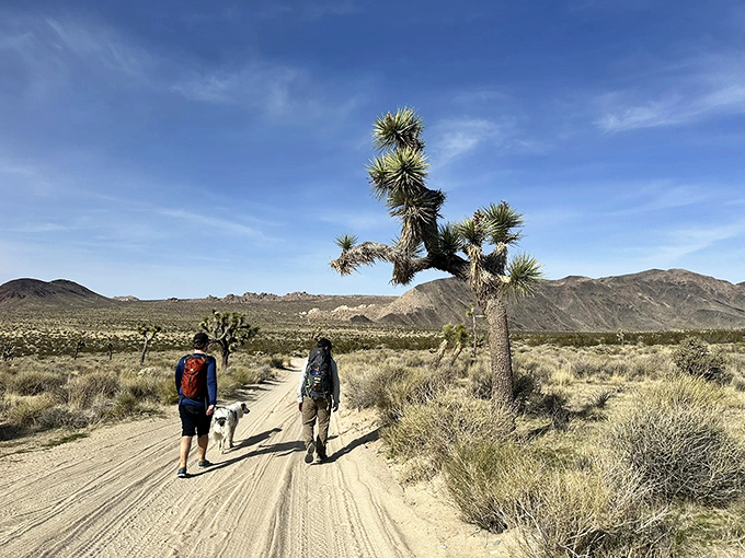 Fellow explorers making memories. Nothing says "quality time" like wandering a prehistoric landscape with your best friend and faithful companion.