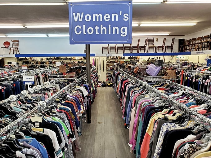 Women's fashion paradise where designer dreams meet budget-friendly reality in perfect harmony.