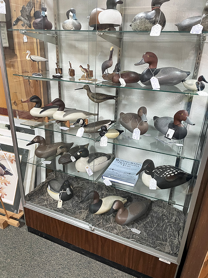 A flock of decoys that never flew south&mdash;these wooden waterfowl represent the pinnacle of functional American folk art.