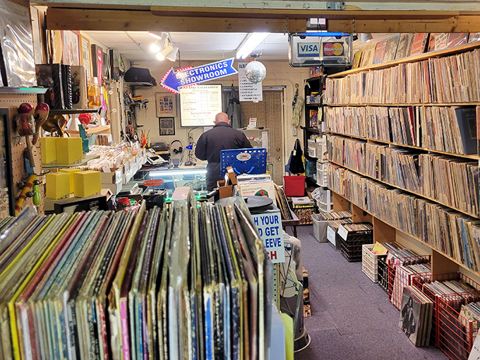 Vinyl paradise for music lovers! Bussey's record shop takes you back to when album covers were art and music was an experience.