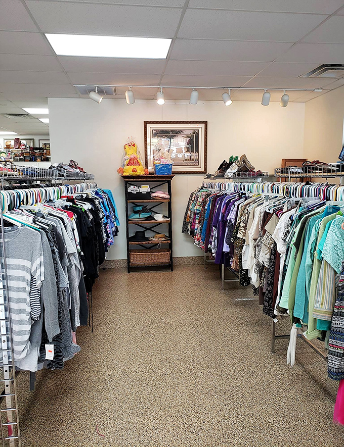 The Curiosity Shop's modest exterior is the perfect disguise for the treasure trove waiting inside.