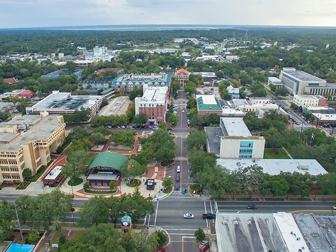 Gainesville's tree-lined streets lead to affordable neighborhoods where college-town energy meets retirement-friendly prices—go Gators, go budget!