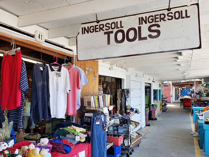 Tool time treasure trove! Oldsmar's practical displays prove that sometimes the most useful finds come with the least pretentious packaging.