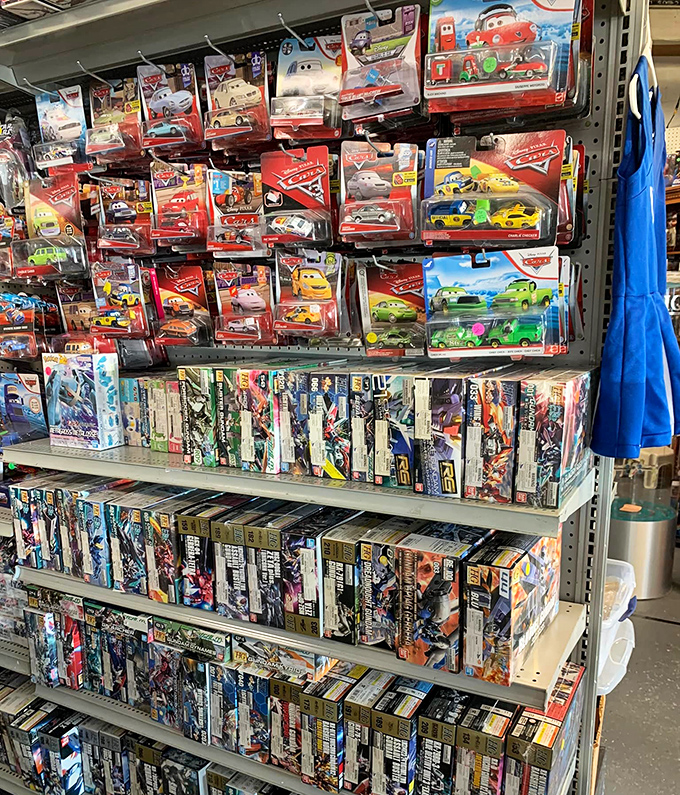 Toy car paradise awaits collectors, where miniature dreams line shelves in perfect automotive formation.
