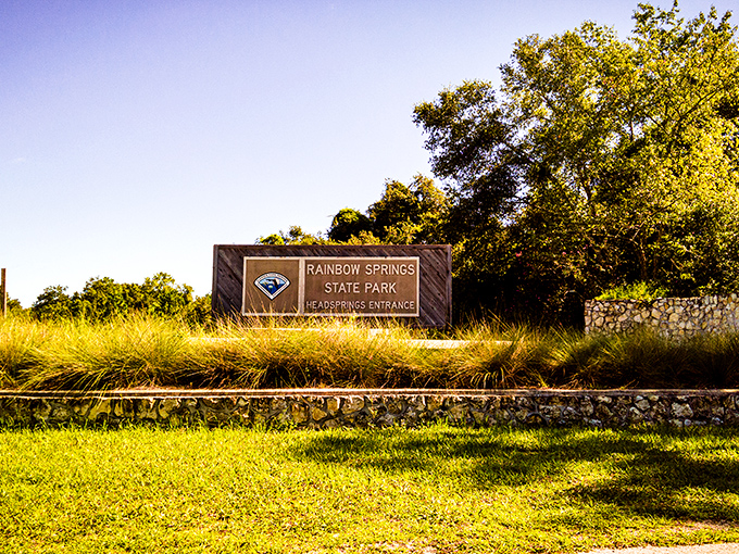 Nature's stained glass window! Rainbow Springs' crystal-clear waters showcase colors that would make a cathedral jealous.