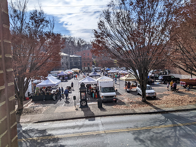Staunton's historic buildings provide a perfect backdrop for treasure hunting. Even the architecture shops for bargains here!