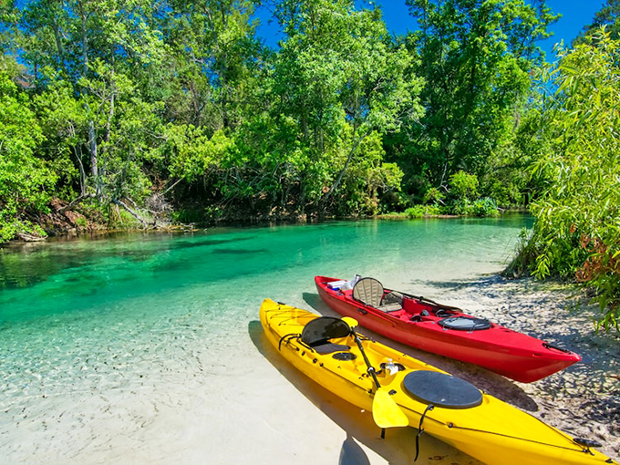 Weeki Wachee's riverbanks look like they're hosting a kayak convention. The water taxi service could use some work!