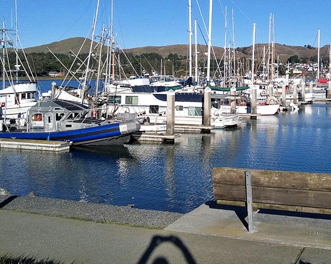 Rolling hills meet Pacific waters where fishing boats and pleasure craft share protected harbor space. 