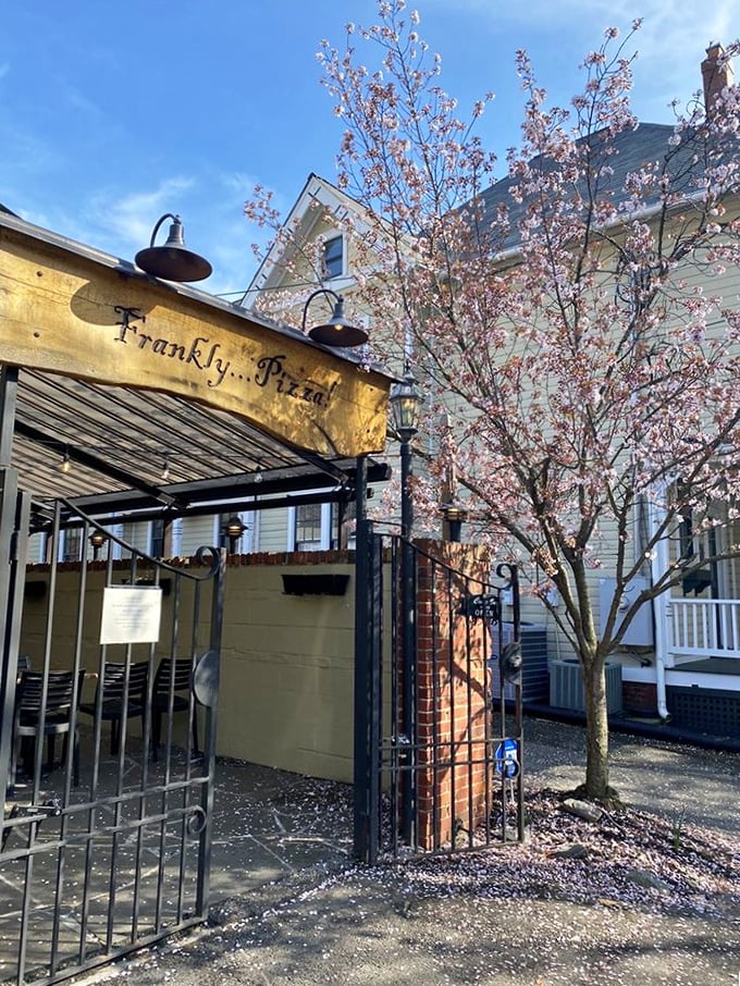 Cherry blossoms add springtime magic to Frankly...Pizza!'s charming entrance. This Kensington gem pairs natural beauty with wood-fired perfection.