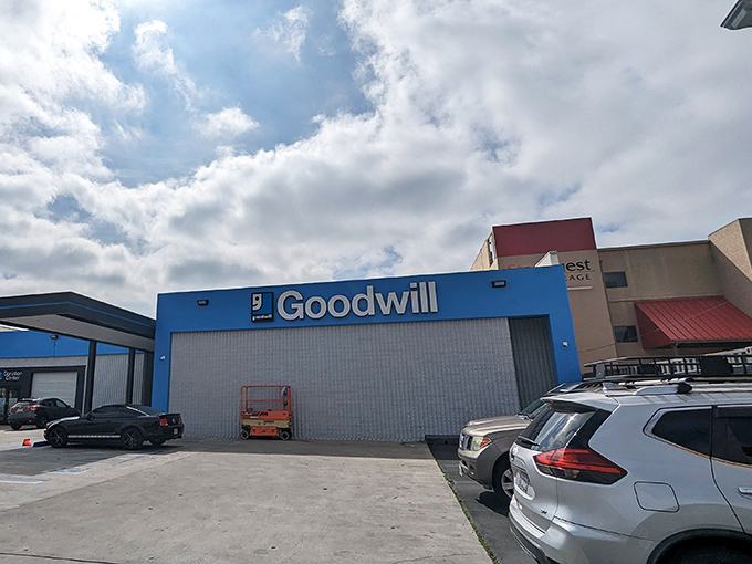 Even cloudy days can't dim the thrill of discovery at this Goodwill location, where $33 fills carts to overflowing.