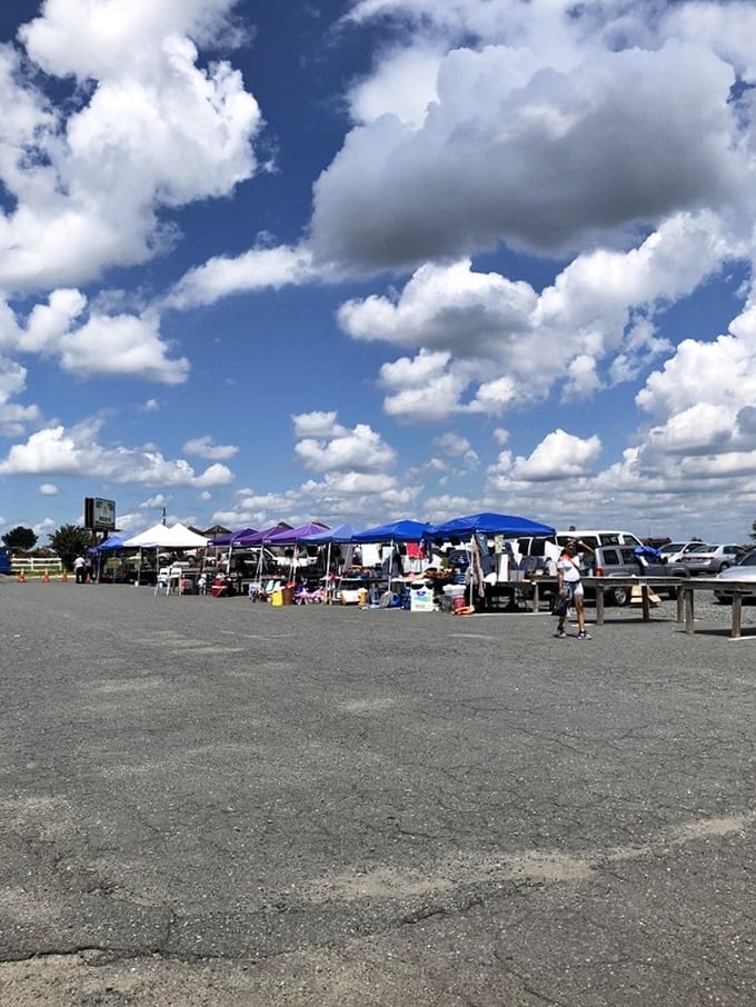 Bargain bonanza! Miller's straightforward setup means less fuss, more finds, and prices that'll make your wallet do a happy dance.