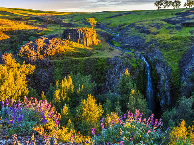 Oroville: Nature puts on spectacular shows here, and the admission price won't drain your savings. Wildflowers and waterfalls welcome all.
