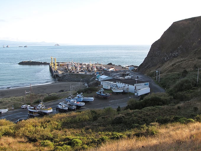 Port Orford: A working fishing harbor nestled beneath protective headlands. Where boats bring in tomorrow's seafood dinner under watchful hills.