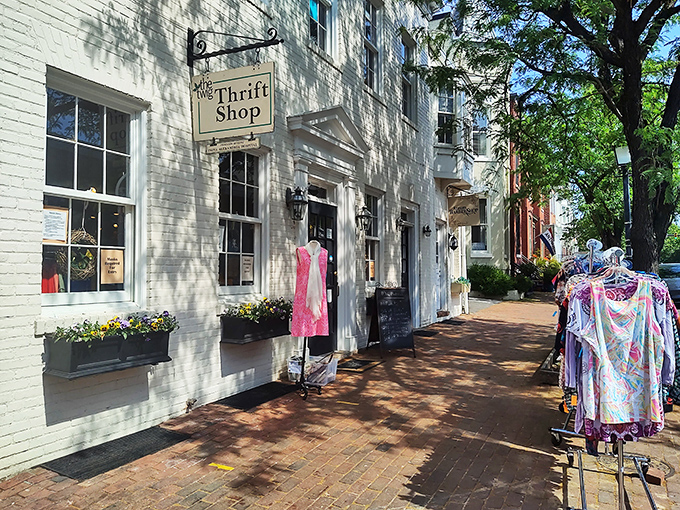 Old Town Alexandria's brick sidewalks lead to The Twig's curated treasures. Where history and bargain hunting dance a perfect duet.