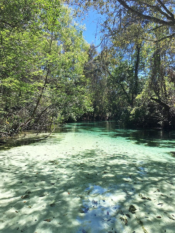 Paddling through Weeki Wachee is like floating on air &ndash; if air were turquoise blue and occasionally contained fish.