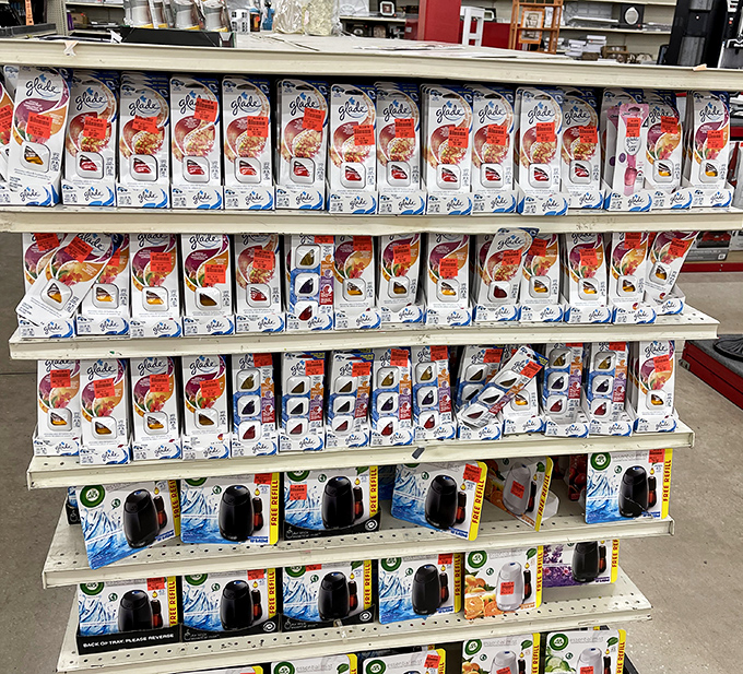 Air freshener armada standing at attention. Enough scent options to combat everything from wet dog to last night's experimental fish curry.