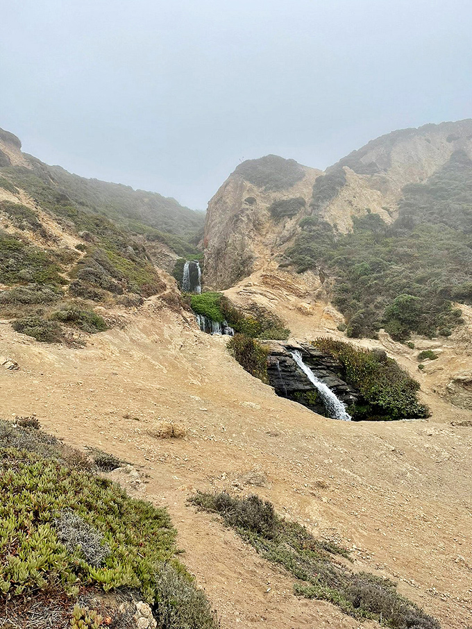 Through coastal fog, the falls appear like a mirage. Even in California's signature mist, this cascade refuses to hide its splendor.