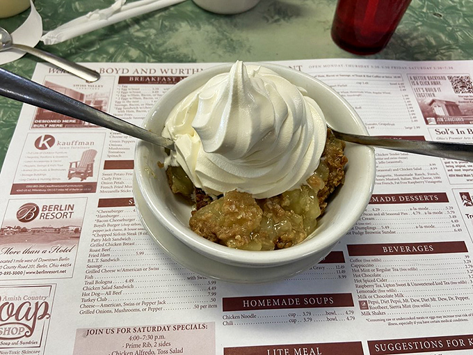 Apple crisp topped with a cloud of whipped cream—proof that sometimes the simplest desserts deliver the most profound happiness.
