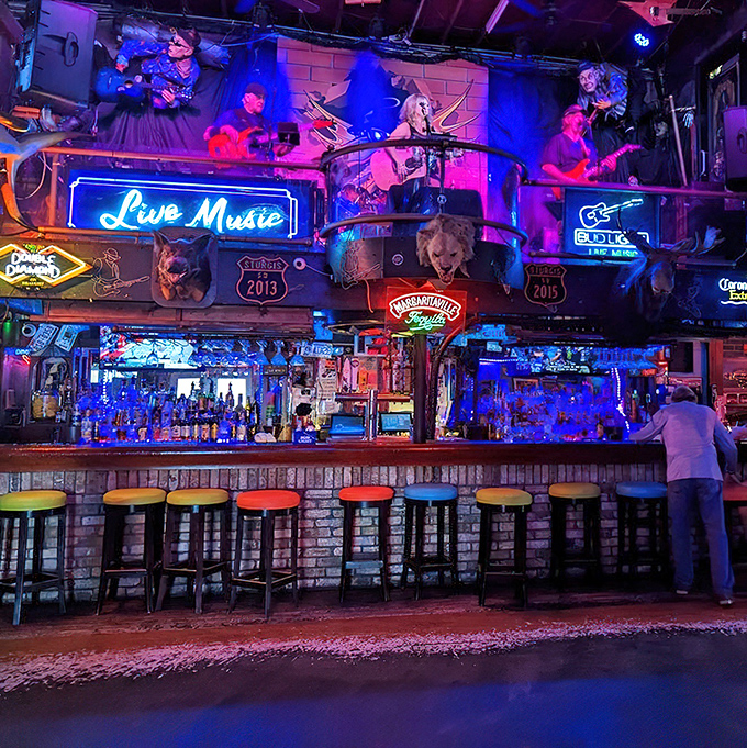 The bar at night transforms into a neon-lit wonderland. This isn't just drinking&mdash;it's a full sensory experience with live music on deck.