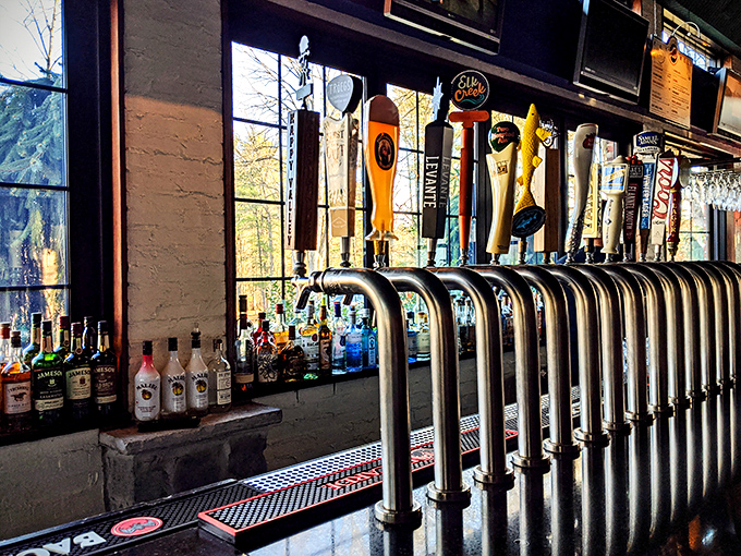 Gleaming taps line up like soldiers, ready to deliver liquid happiness to thirsty State College souls.