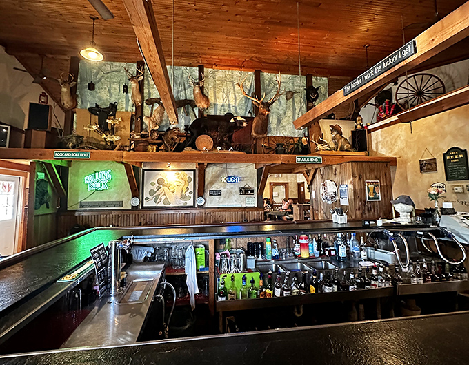 The bar area showcases Pennsylvania's hunting heritage above, while below, liquid treasures await to complement your forest feast.