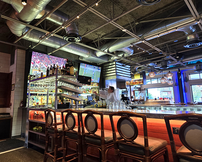 The bar gleams with promise and premium spirits. Those stools have witnessed countless first dates, celebrations, and "just one more" moments.