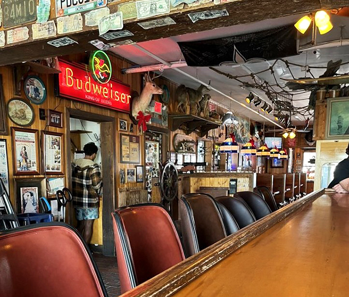 A bar where stories flow as freely as the drinks, beneath dollar bills and memories tacked to every available surface.