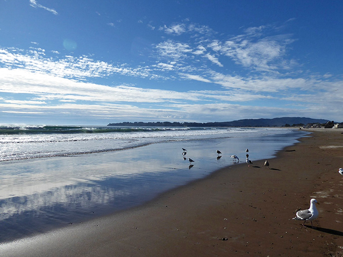 Where sky meets sea meets shore. Stinson's shorebirds conducting their daily inspection of the waterline.
