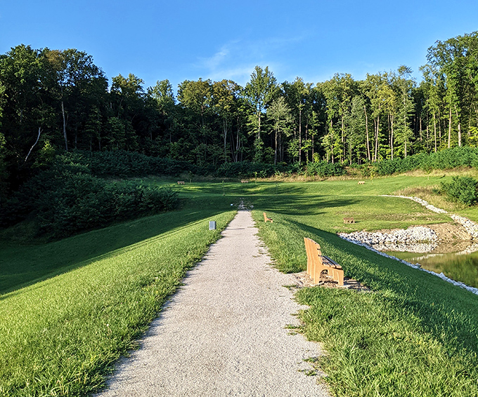 This path practically begs you to take a contemplative stroll, with strategically placed benches offering front-row seats to nature's quiet drama.