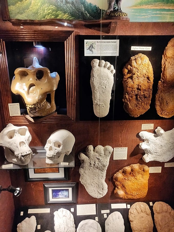 Bigfoot prints and skulls make a compelling case for cryptozoology. Still more believable than some political campaign promises.