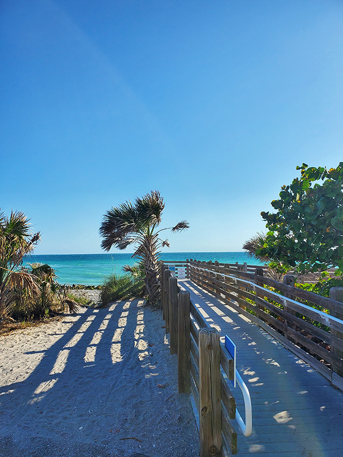 This wooden walkway isn't just a path to the beach—it's a bridge between everyday life and the extraordinary natural world waiting beyond.