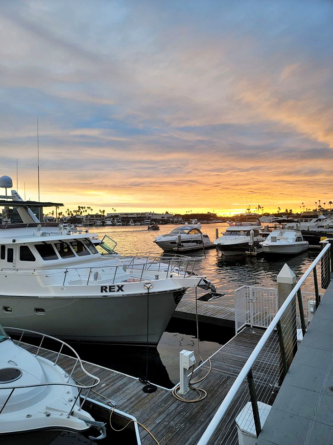Newport Beach sunset paints the harbor gold, transforming ordinary boats into extraordinary silhouettes. Dinner with this view? Priceless.