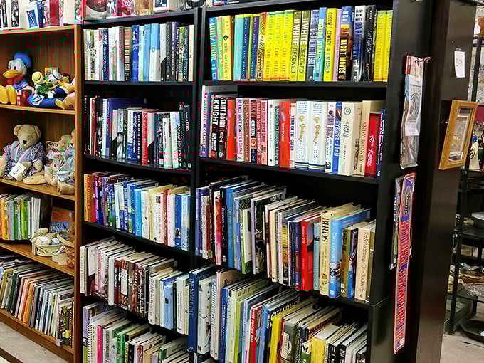 Books stacked with promise&mdash;each spine a doorway to another world. That teddy bear is just guarding the children's classics.