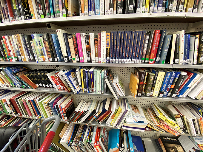 Bibliophiles rejoice in these packed shelves where bestsellers of yesteryear wait patiently for their next reader at pocket-change prices.