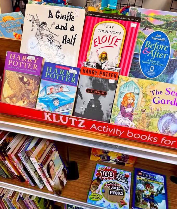 Paperback adventures and hardcover wisdom fill these shelves, each book a doorway to someone else's favorite world.