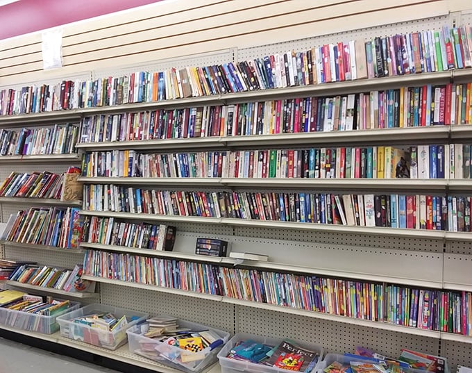 The book section: a literary potluck where dog-eared bestsellers mingle with forgotten classics and quirky DIY manuals.