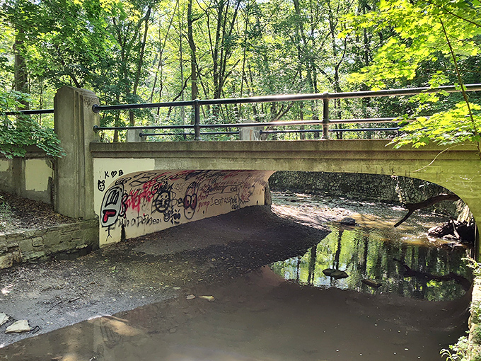 Some bridges simply cross water; others, like this one, tell stories of generations who've wandered beneath seeking woodland adventures.