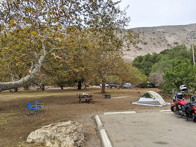 Camping as it should be&mdash;under ancient sycamores with the distant lullaby of waves to send you off to the best sleep you'll have all year.