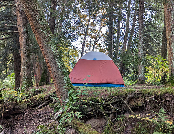 Home sweet temporary home. This tent site offers the rare opportunity to fall asleep counting actual stars instead of scrolling through them on review sites.