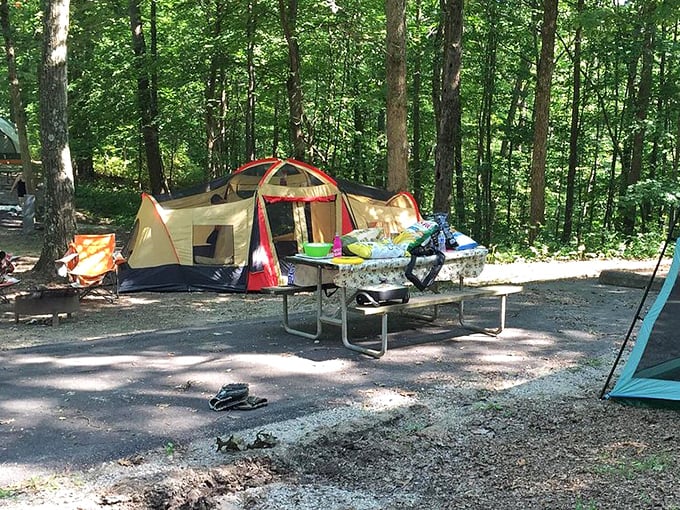 Camping 101: where your temporary address includes a picnic table, forest views, and neighbors who don't care if you're still in pajamas at noon.
