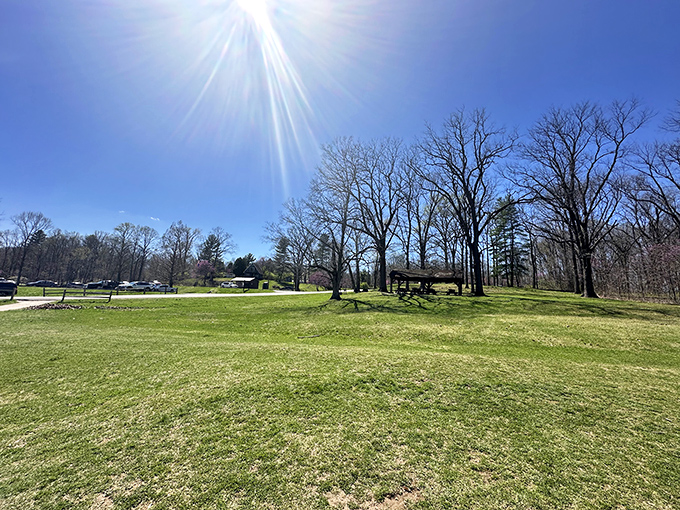 The recreation area offers more than just bridge-gazing &ndash; perfect picnic spots await under the watchful eyes of ancient trees.