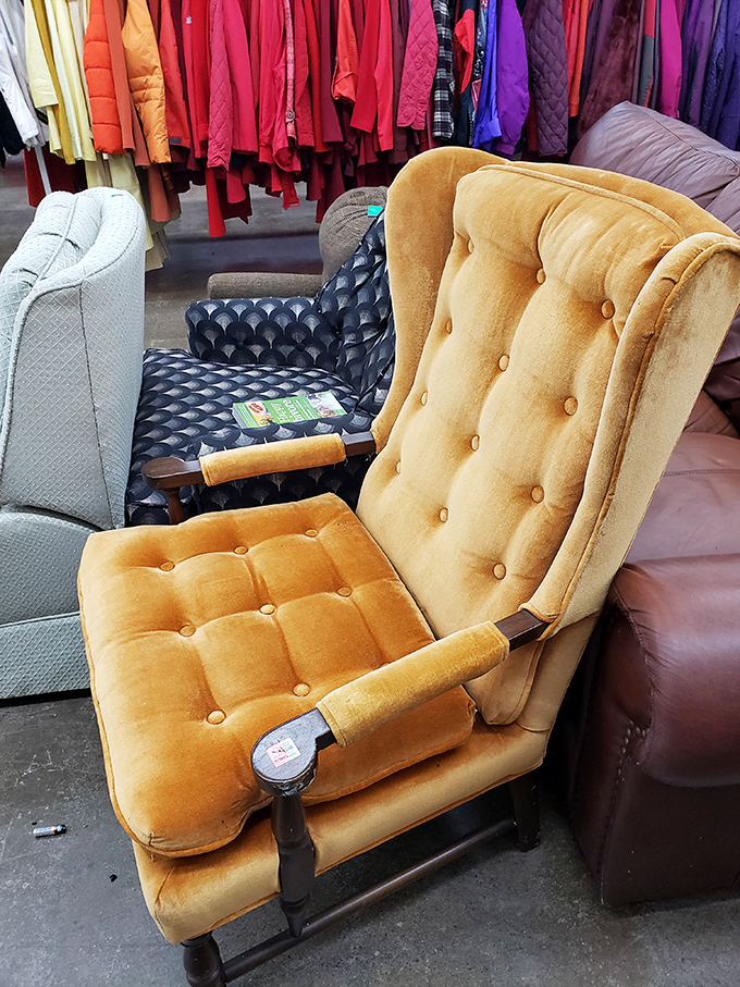 That golden velvet throne isn't just a chair &ndash; it's a statement piece waiting to become the conversation starter in your living room.