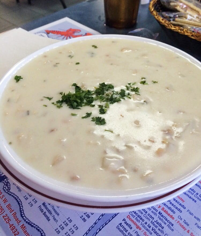 Creamy clam chowder that could make a New Englander relocate to Miami. A spoonful of comfort topped with fresh herbs.
