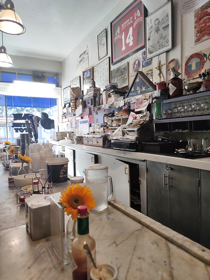 The counter view &ndash; where maritime memorabilia meets culinary magic. Every framed photo and knickknack tells part of Swan's storied history.