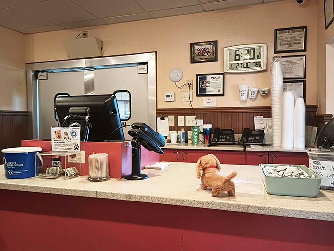 The counter where magic happens &ndash; where orders are taken, friendly banter is exchanged, and that little stuffed dog keeps watch over it all.