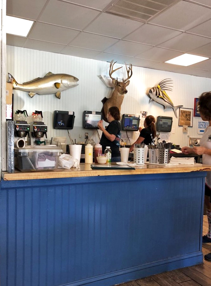 The counter where seafood dreams come true, complete with taxidermy that seems to say, "You could be fishing, but this is easier."
