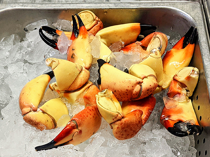 Stone crab claws that make you understand why Floridians get that smug look when discussing their local seafood scene.