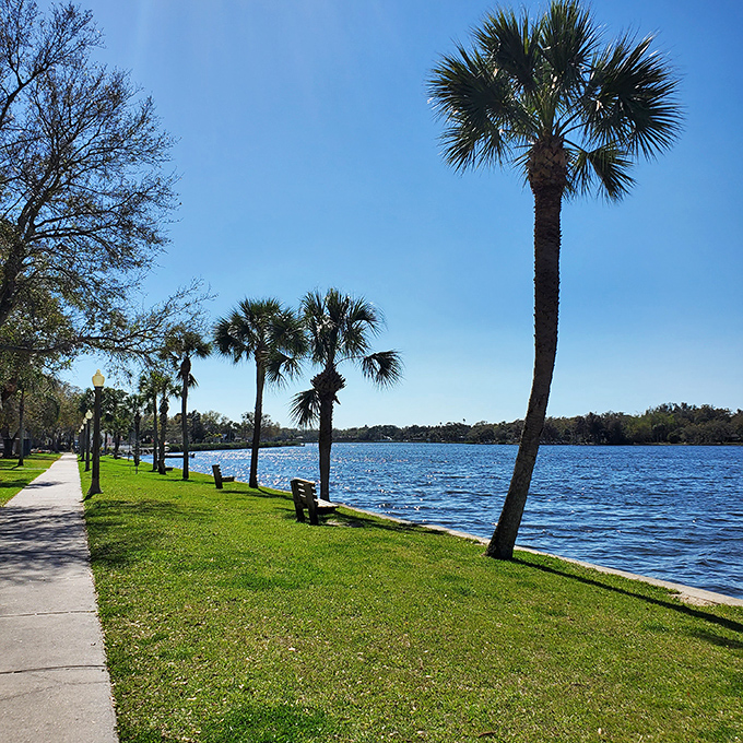 Palm-lined waterfront paths at Craig Park offer tranquil moments where benches invite contemplation of the sparkling waters that define Tarpon Springs.