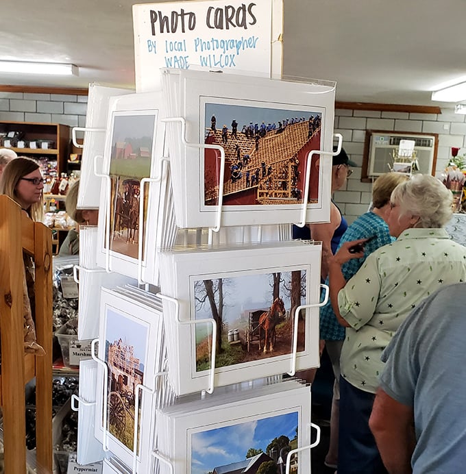 Local photography capturing the soul of Amish Country. These cards tell Ohio's story better than any history book.