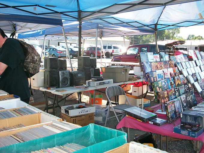 Entertainment for days! From forgotten albums to DVD collections, these media treasures offer weekend binges waiting to happen at a fraction of streaming subscription costs.